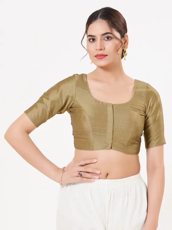 Elegant beige tafeta silk zari work blouse-G3-RB2852 | United States