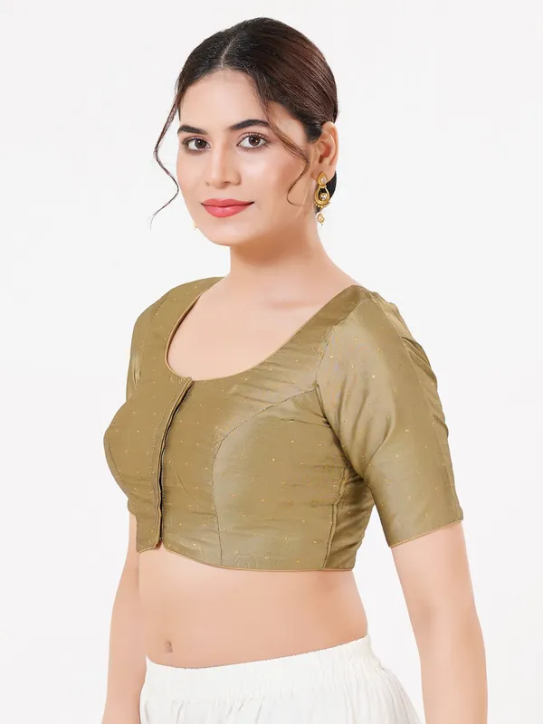 Elegant beige tafeta silk zari work blouse-G3-RB2852 | United States