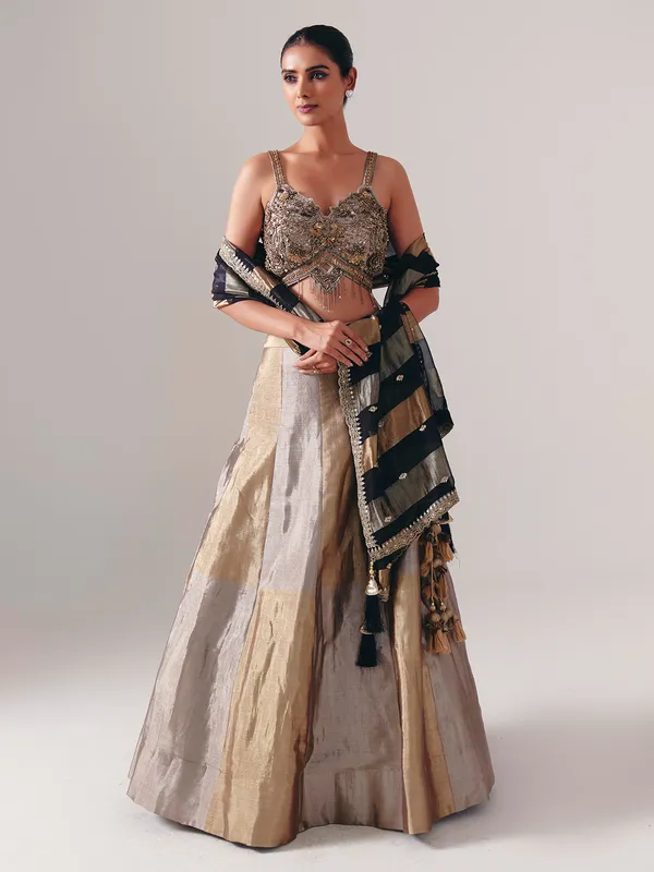 Gold and silver silk lehenga choli with rich embellished...