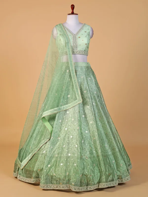 Green Lehenga Choli