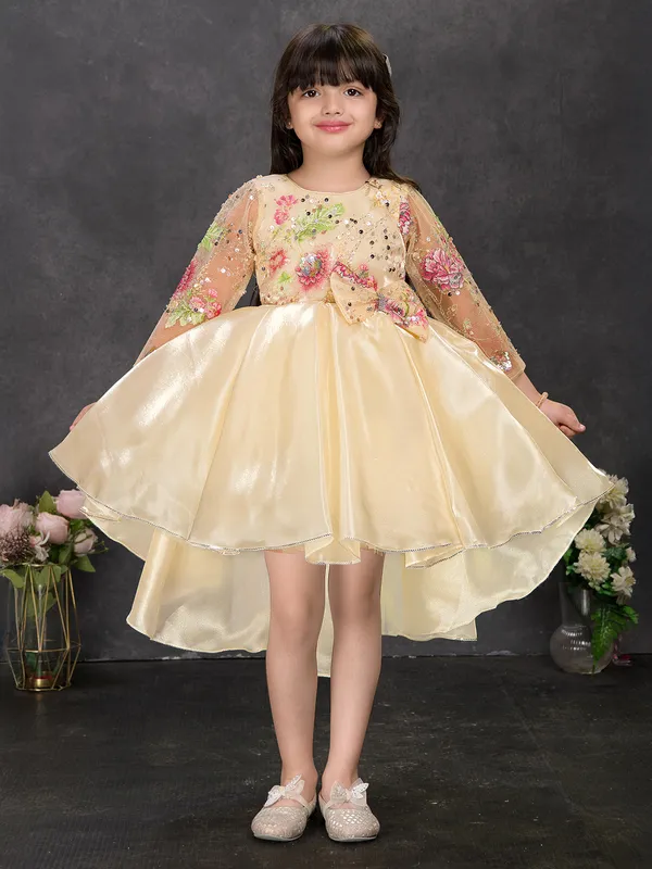 Cream tissue silk embroidered frock-G3-GDR0719
