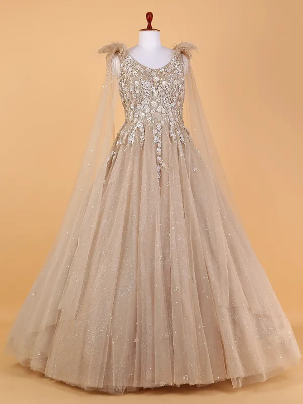 Beautiful beige net gown-G3-WGO2528 | United States