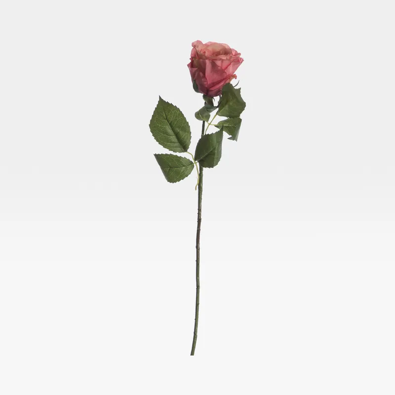 Shop ROSE stem pink - H56cm Online | 639791 | United Arab Emirates