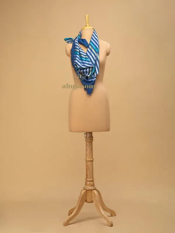 Shop Multi Stripe Stole Online | AS01251207 | United States